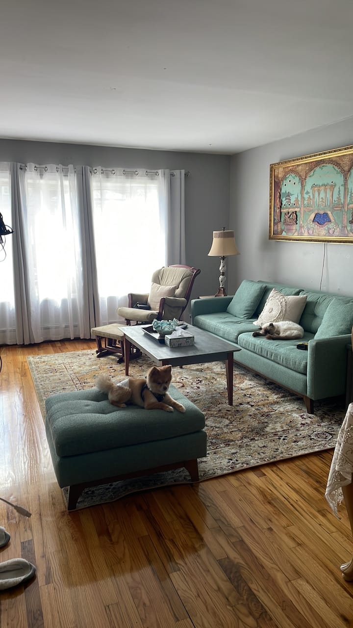 Cozy Apartment Near Nyc And Northern Nj - Bayonne, NJ