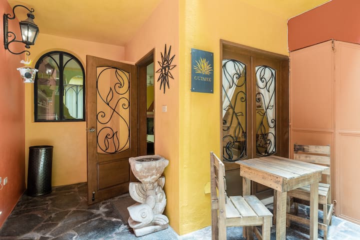 Centro Comfy Senior Friendly House Byrosewood W/ac - San Miguel de Allende