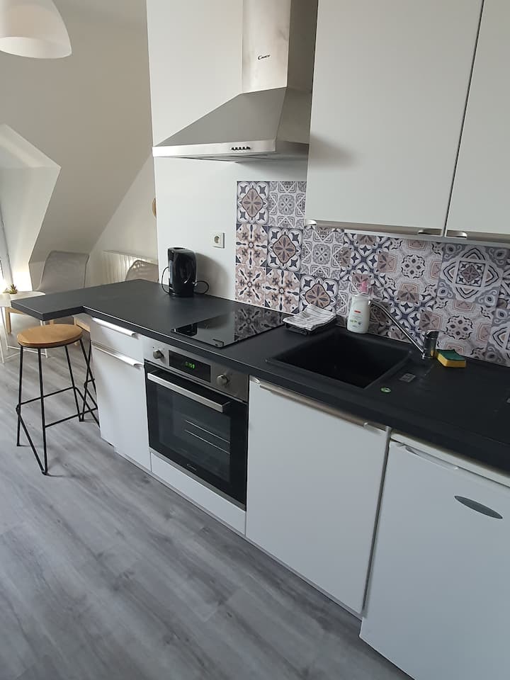 Appartement Mezzanine Rénové à Sully Sur Loire - Sully-sur-Loire