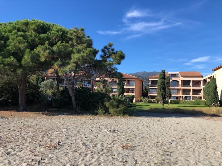 2025 - Grand Studio Avec Piscine Et Plage à 50 M - Abri des flots - San-Nicolao