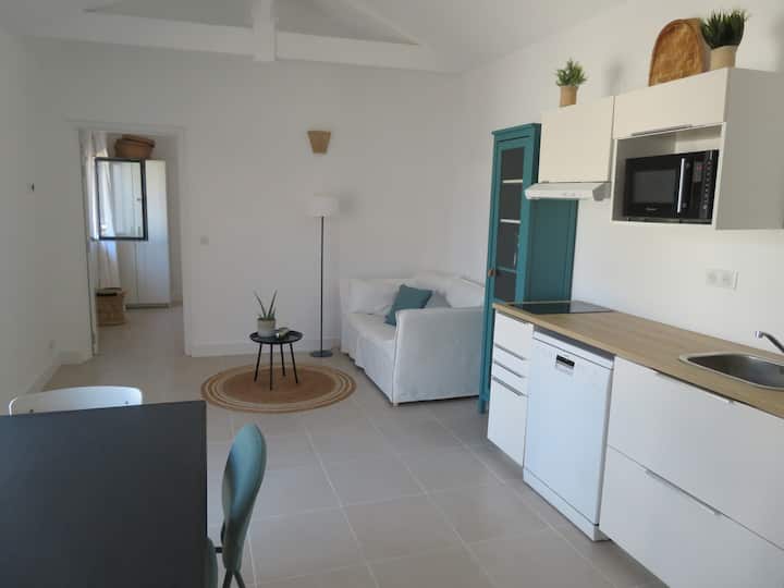 Location Neuve Proche Océan Et Port - Capbreton