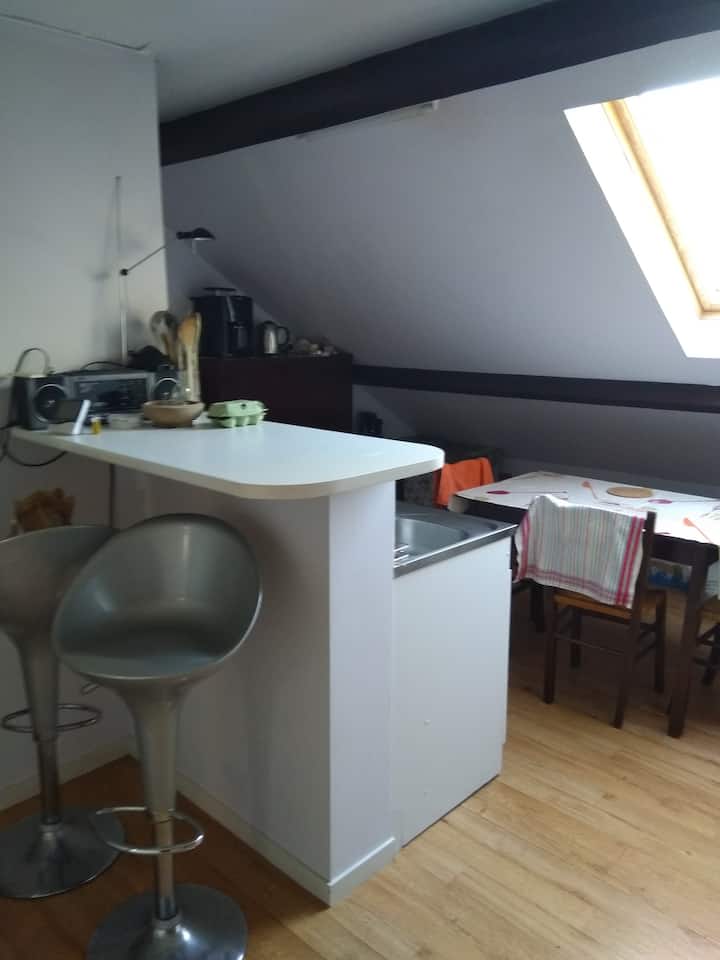 Chambre Avec Cuisine à Disposition. - Joué-lès-Tours