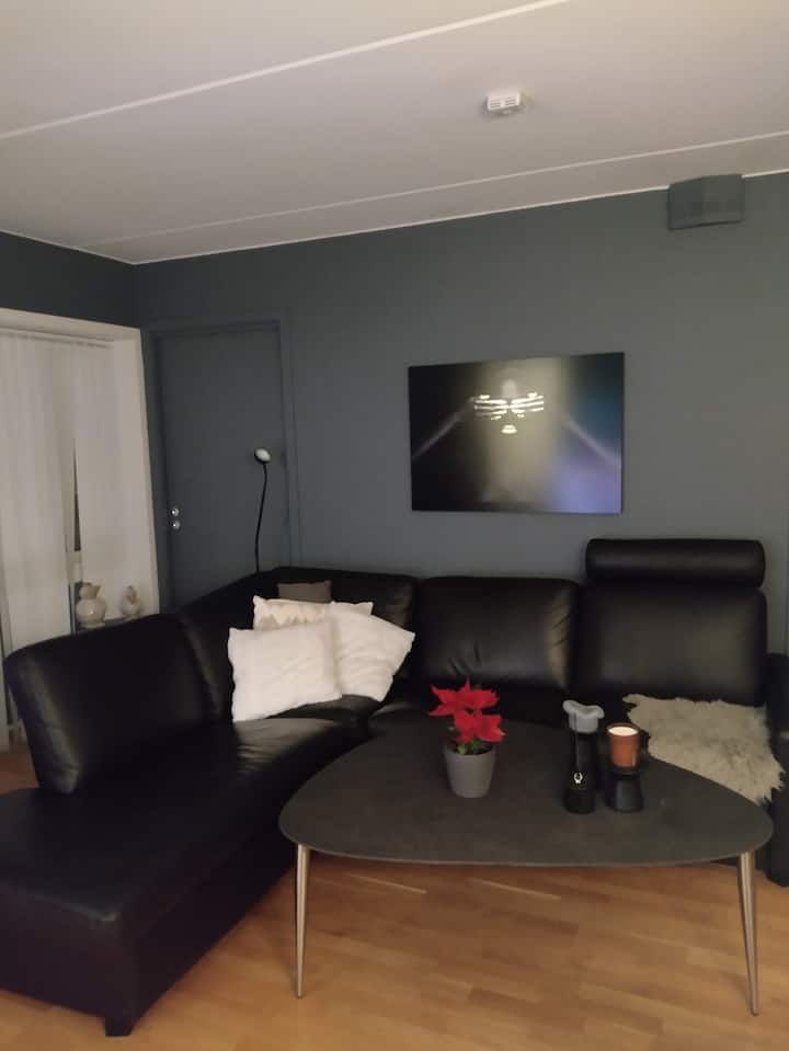 Cosy Apartment In The Center Of Trondheim - Trondheim