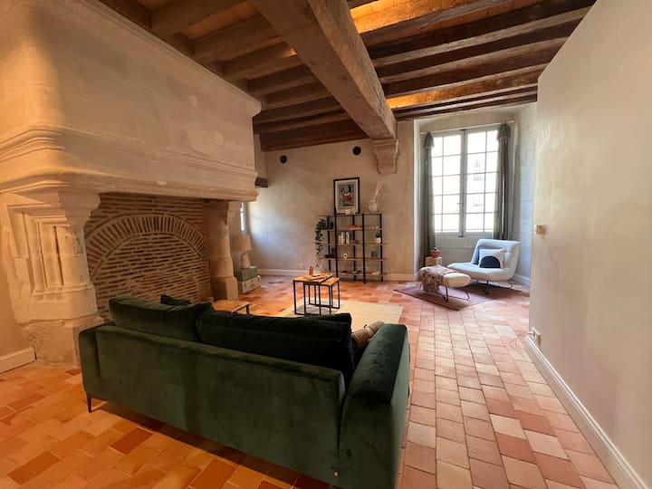 Nantes Centre Historique Appartement Patrimonial. - Nantes