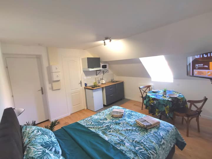 Refuge Cosy à Vierzon: Confort Près Autoroutes - ibis Styles Vierzon