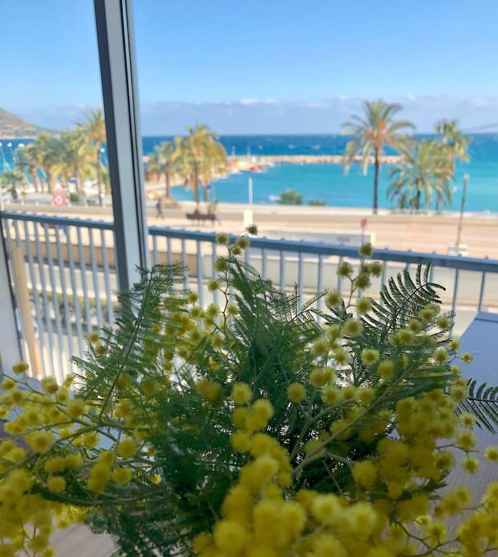 Etoile De Mer - Menton Garavan - Menton