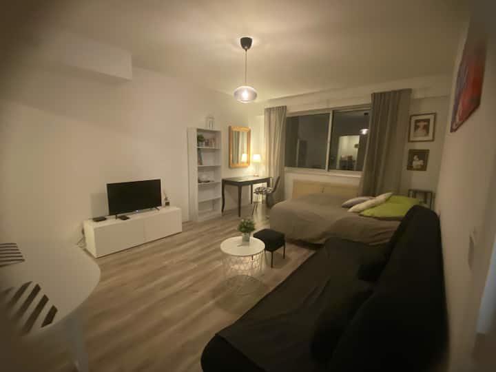 Appartement Proche Centre, Disponible Au Mois - Strasbourg