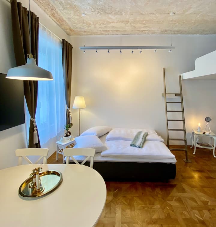 Ars Longa Heritage Apartments - Painted Ceiling - Ljubljana