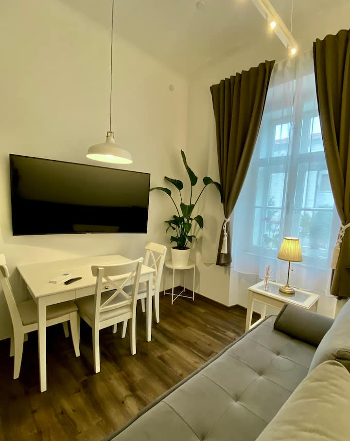 Ars Longa Heritage Apartments - Comfortable - Liubliana