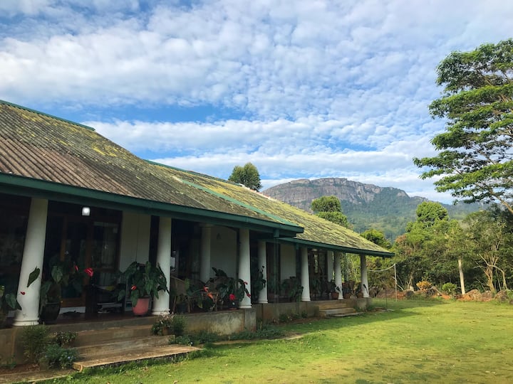 Jungle Tide Villa With Pool Near Kandy - Kandy