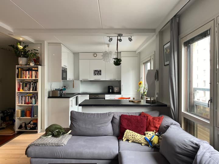 Spacious And Bright Apartment In Kallio - Helsinki