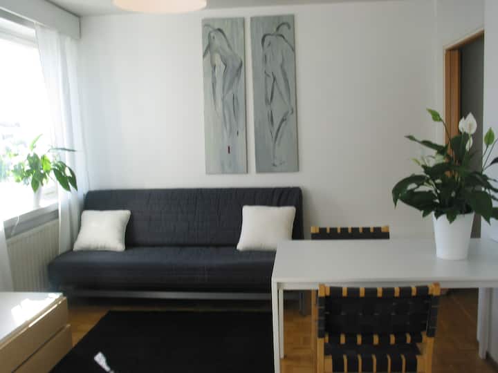 Budget Studio, Best Location, City Center - Rovaniemi