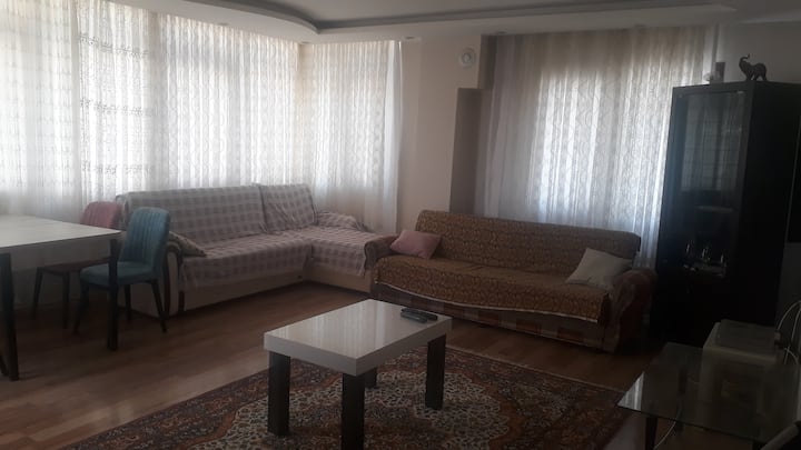 Günlük 
Tekne Gezileri Ile Koyları Görmelisiniz - Dikili