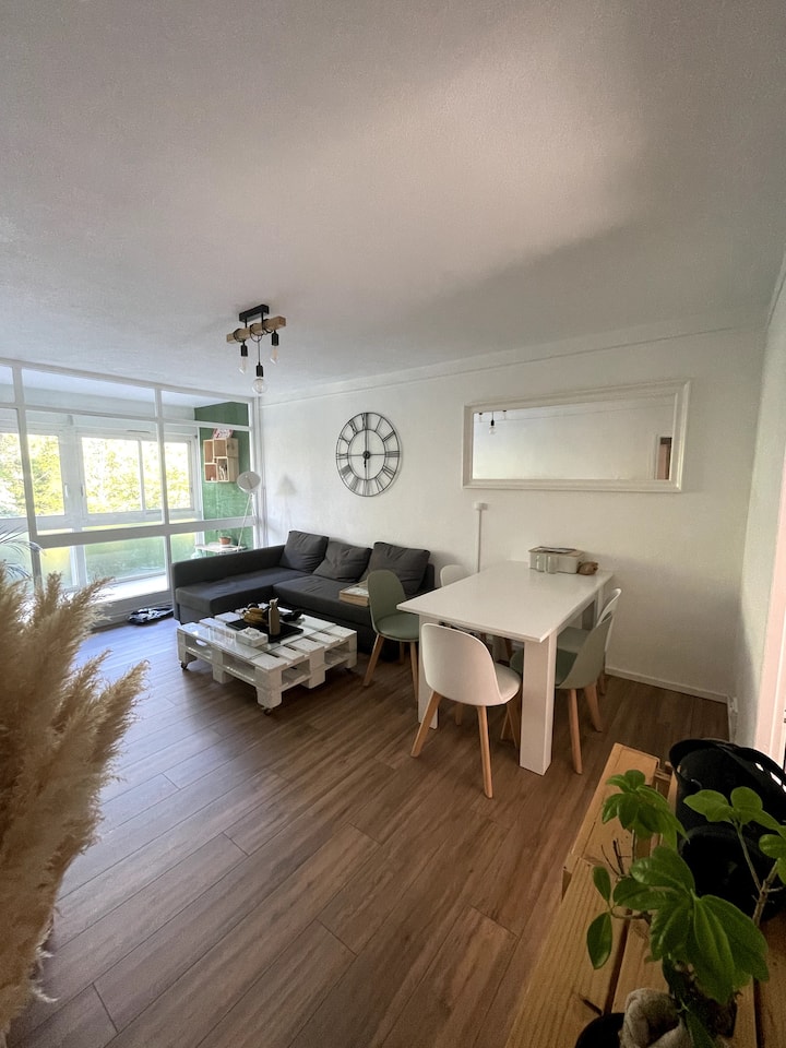 Superbe Appartement - 2 Chambres - Parking Gratuit - Menthon-Saint-Bernard