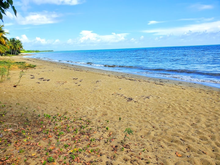 Ocean View Hammock Steps To Boardwalk Solar Backup - Guayama