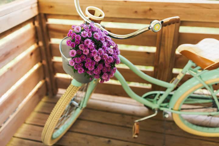 The Blue Bike Bungalow - Kansas City, MO