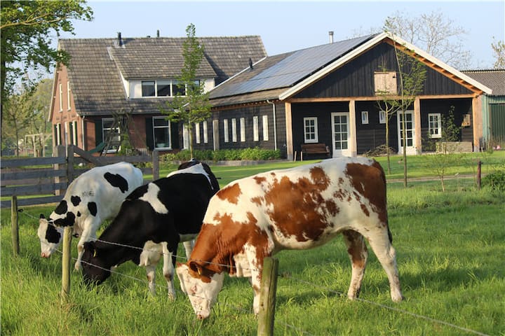 B&b ‘T Bievink Beide Kamers - Beleef De Achterhoek - Doetinchem