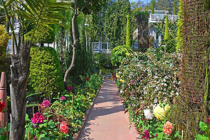 The Wild Crest - Jim Corbett National Park