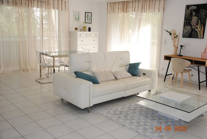 Grand Appart, Plan D'eau, Proche Centre, Pkg, Wifi - Mulhouse