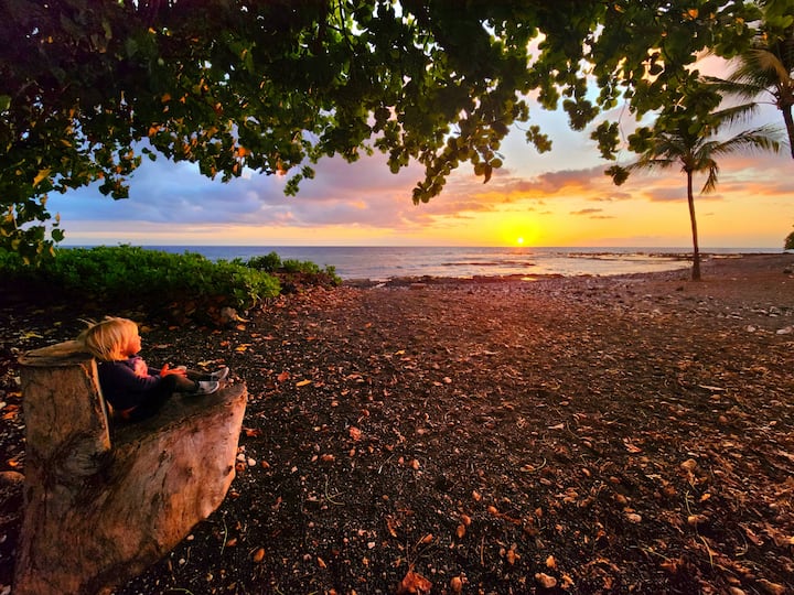 The Artists' Beach Bungalow - Hawaii
