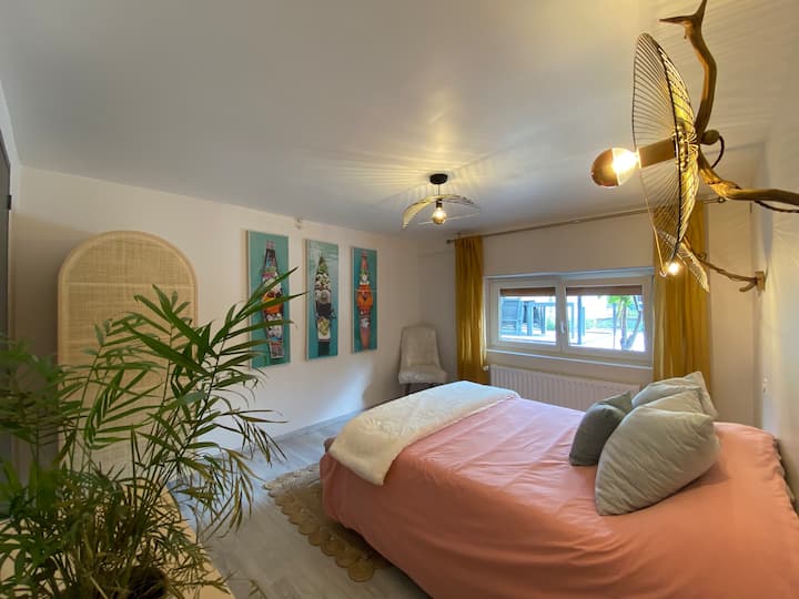 Superbe Appartement En Maison Privée Avec Jacuzzi - Colmar
