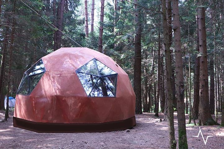 L'alcova - Un Nido Nel Sottobosco - Castione della Presolana