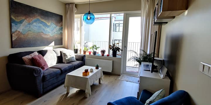 Central 1-bedroom Condo With Bbq Grill - Reykjavík