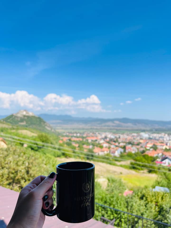 La Baciu House - Deva