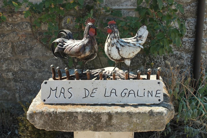 Le Mas De La Galine - Ménerbes