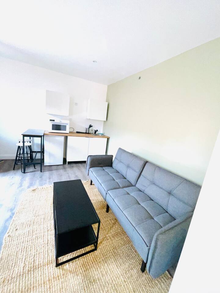 Studio éQuipé Au Calme Et Chaleureux. - Saint-Étienne