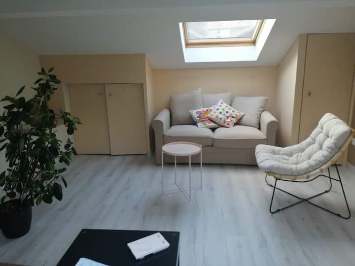 Agréable Chambre De 25 M², Espace Détente-travail - Meylan