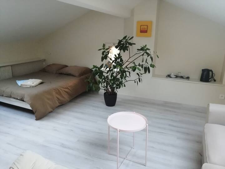 Agréable Chambre De 25 M², Espace Détente-travail - Meylan