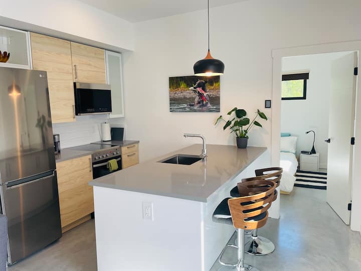 Sundance Suite- 30 Day Rentals! - Revelstoke