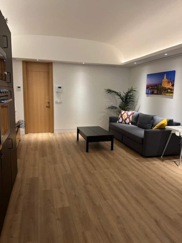 Apartment Ground Floor - Center Seville - Seville