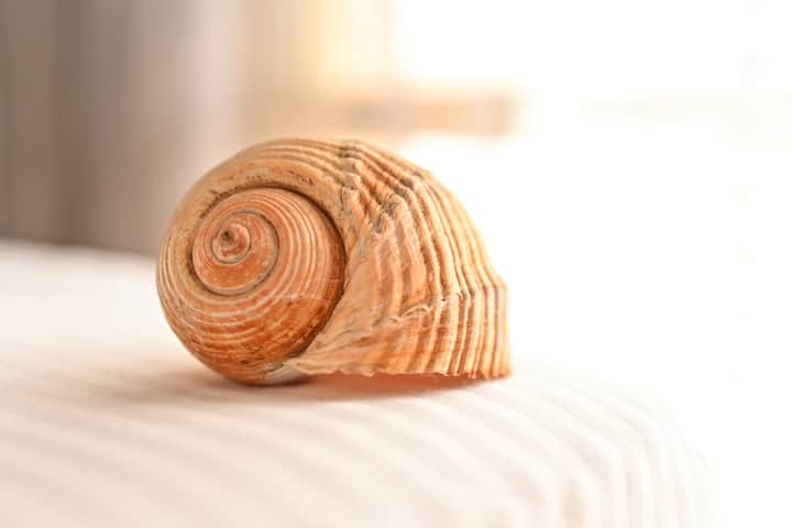 Coastal Retreat - Vlora