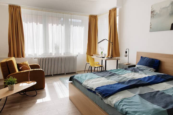 Parliament And River View Near Castle District - Budapeste