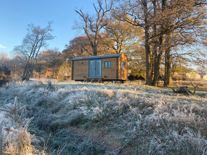 Luxury Oakwood Shepherd's Hut. - Shere