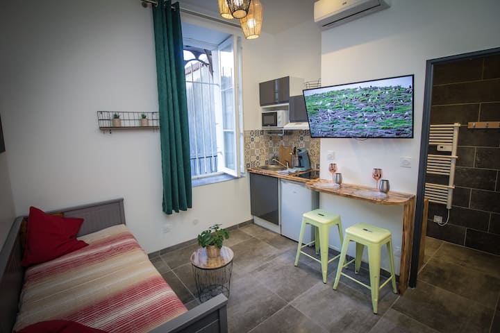 Entre Bastide Et Canal Du Midi - Studio Climatisé - Carcassonne