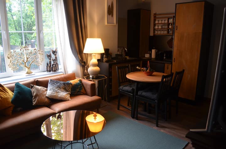 Chic Boutique Apartment - Sinaia