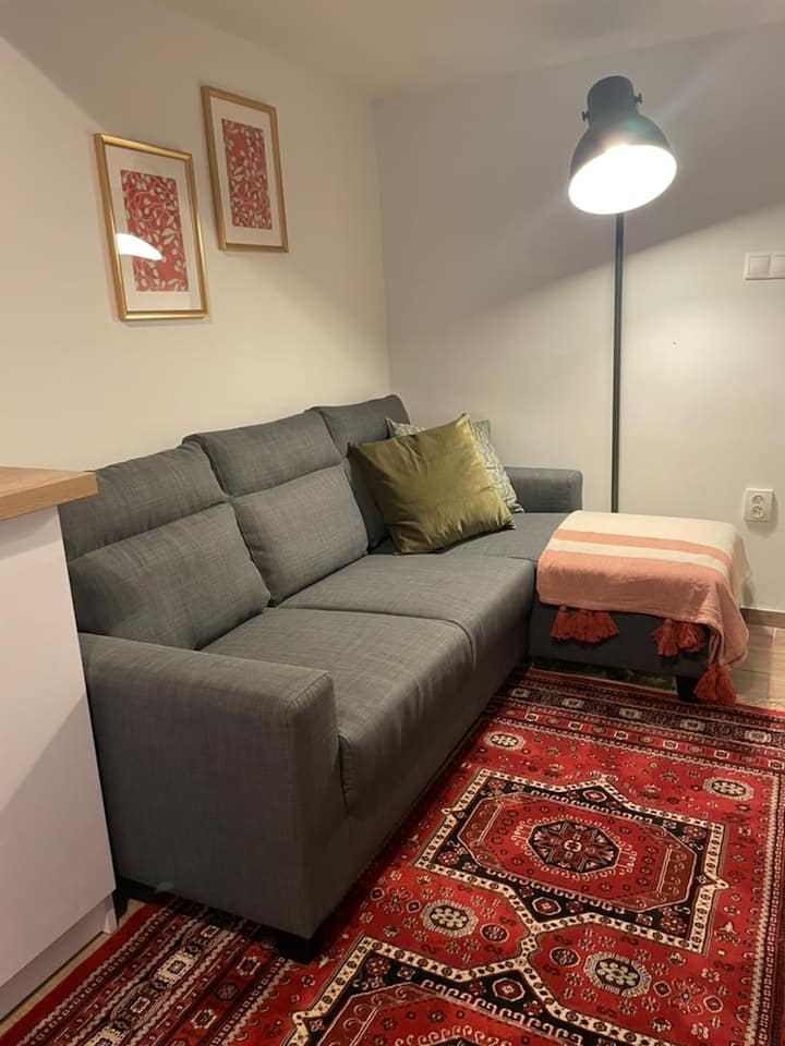 Lovely Studio Loft In The Centre Of Bratislava! - Bratislava