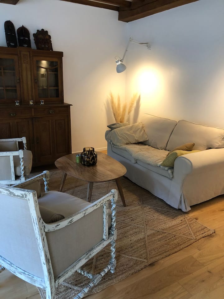 Maison En Pierre, Chaleureuse, Avec éTang - Somme-Leuze