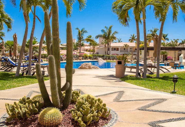Beach - Side Condo / Prime San José Hotel Zone - San José del Cabo