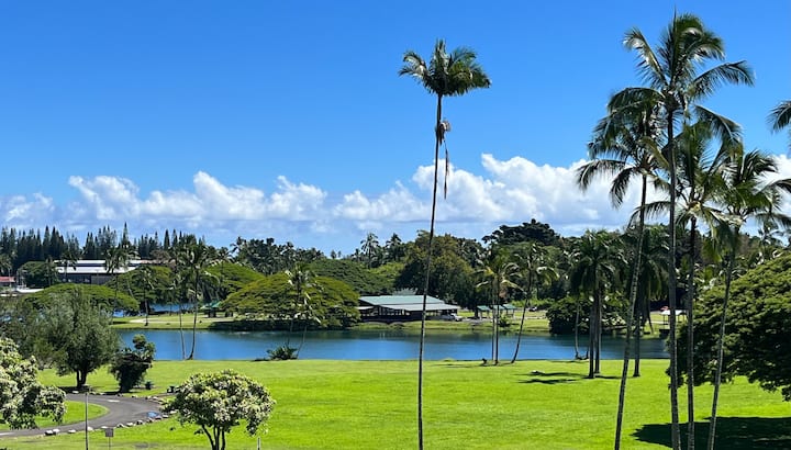 Hilo Lagoon Suite - Hilo, HI