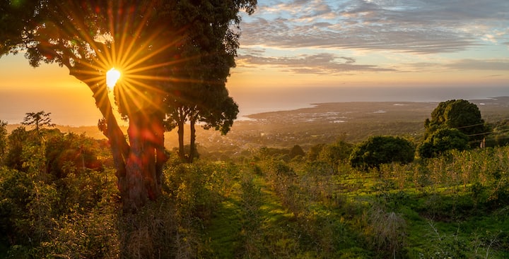 Epic Views Above Kona - Kailua-Kona, HI