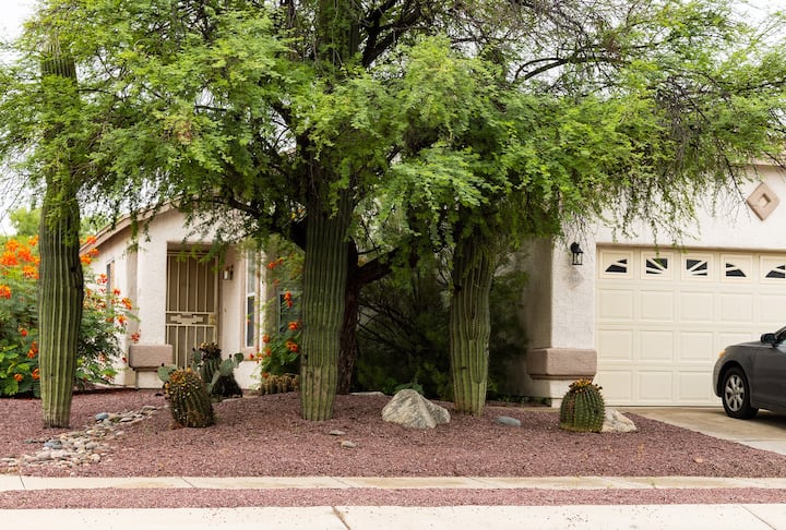Grand Cactus Residence In East Tucson - Tucson, AZ