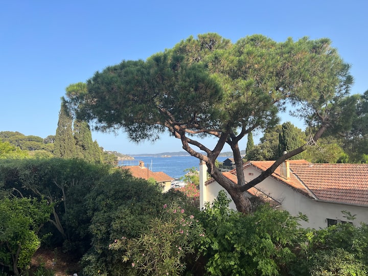 Très Grande Villa Et Parking Giens Port Du Niel - Hyères