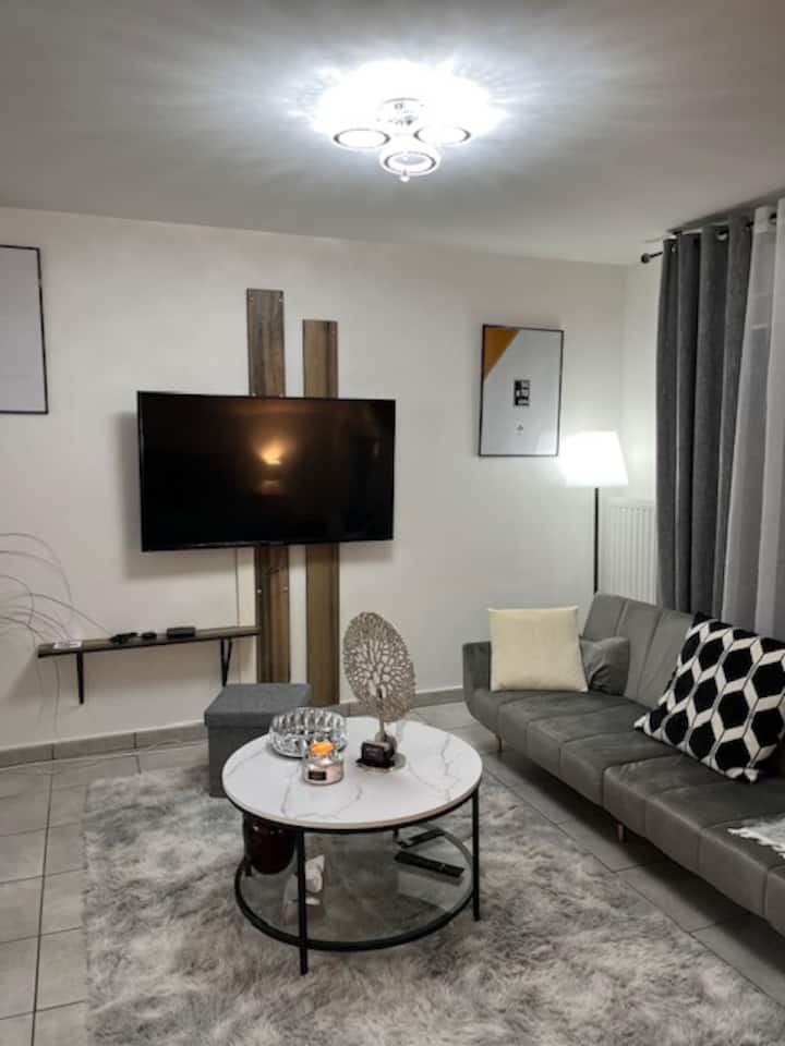 Le 60  Appartement Classé 2 éToiles Atout France - Colmar