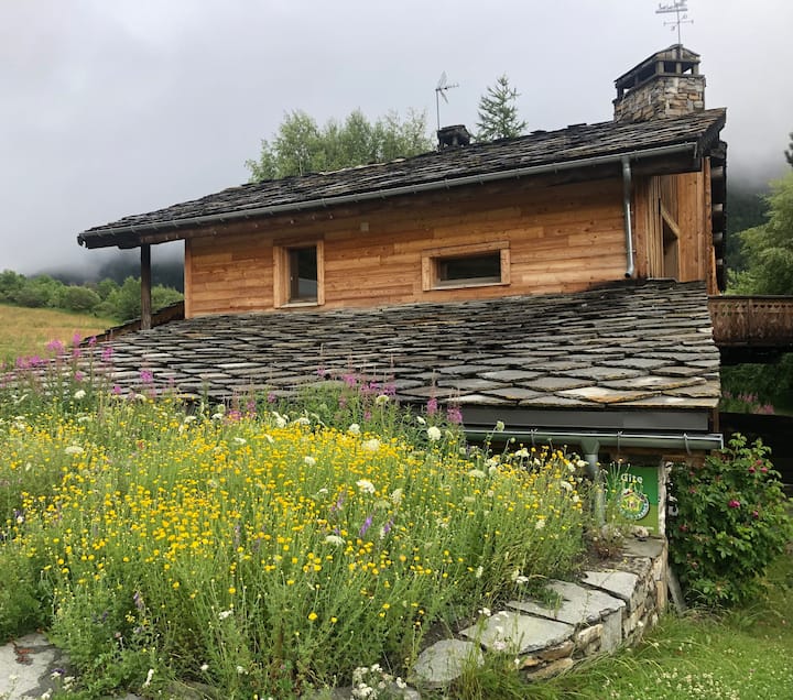 Chaleureux Gîte 6-8 Personnes Dans Chalet Savoyard - Bessans