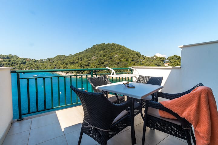 Apartment No.6 Posta Mljet - Mljet