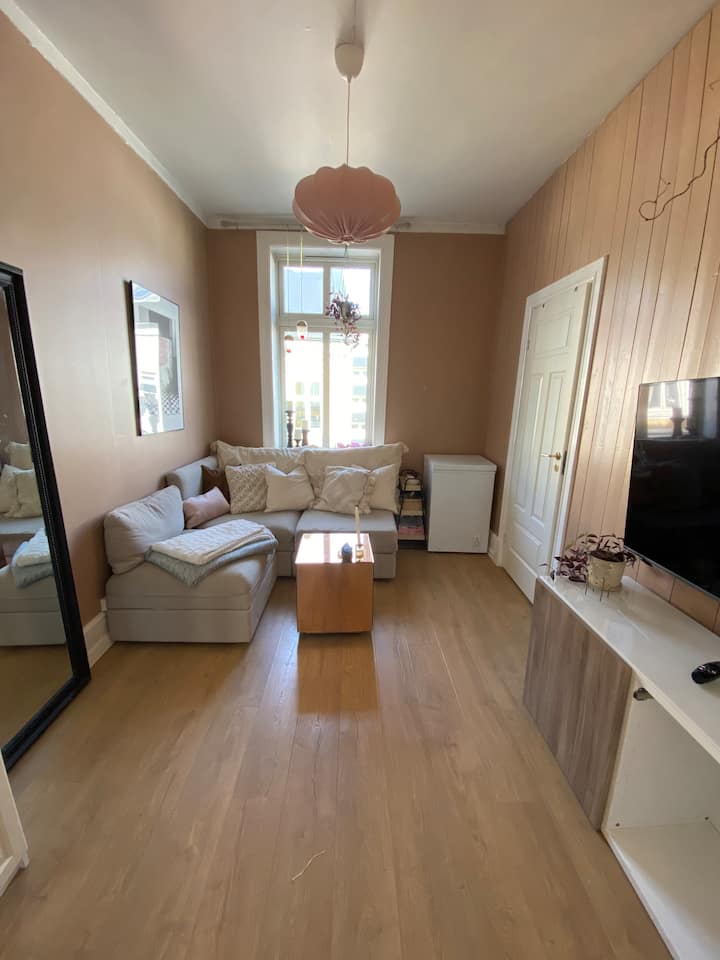 Koselig Leilighet På Majorstuen - Oslo